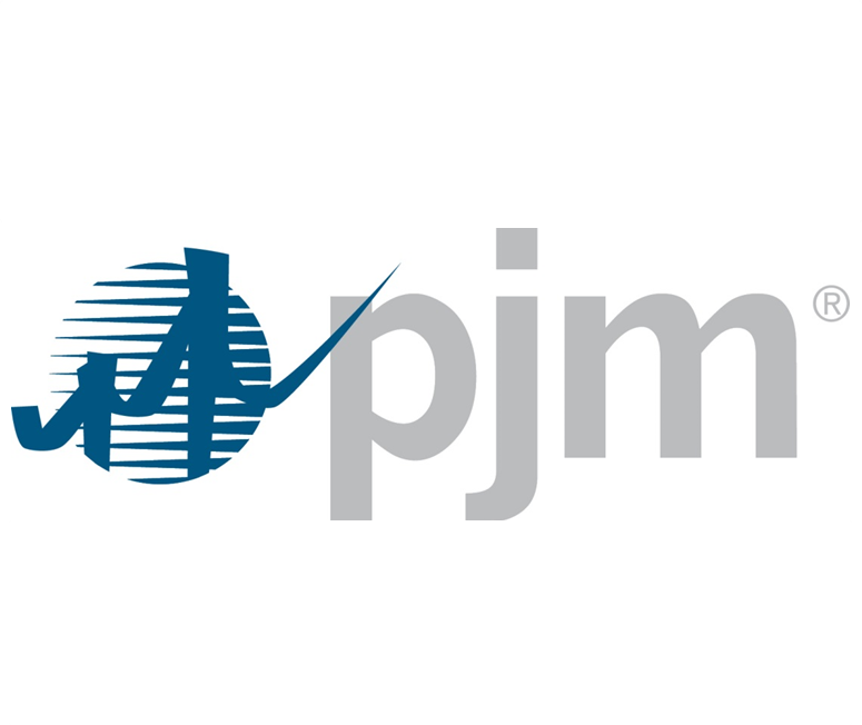 Definitional problems and data gaps in PJM capacity repricing proposal ...